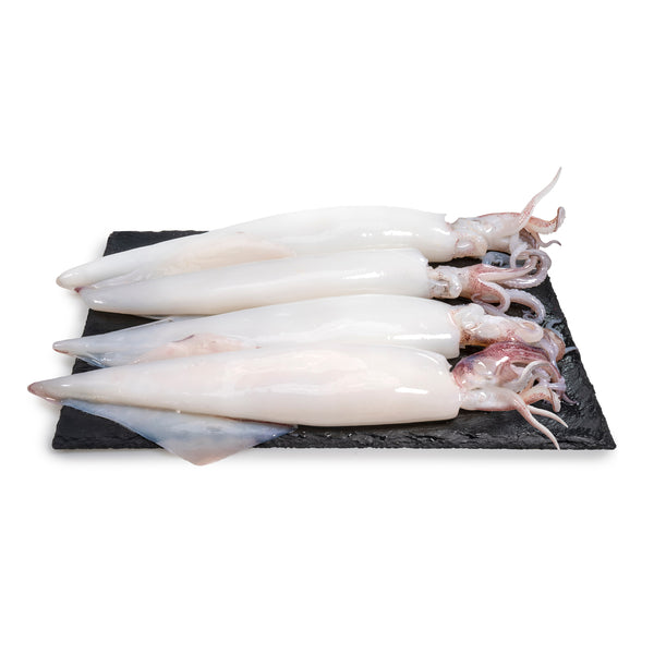 FRESH WHOLE SQUID (Grade A) (500g) - Prime Cuts Butchery, Deli & Bistro