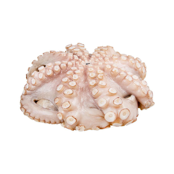 FROZEN CLEANED OCTOPUS - Prime Cuts Butchery, Deli & Bistro