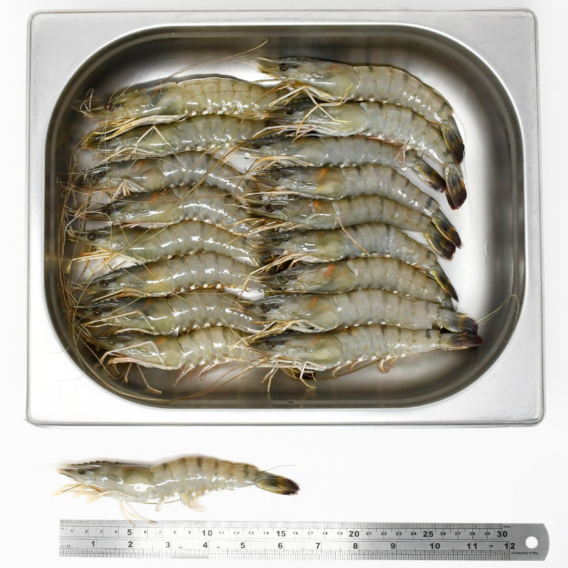 FISH / SEAFOOD - Prime Cuts Butchery, Deli & Bistro