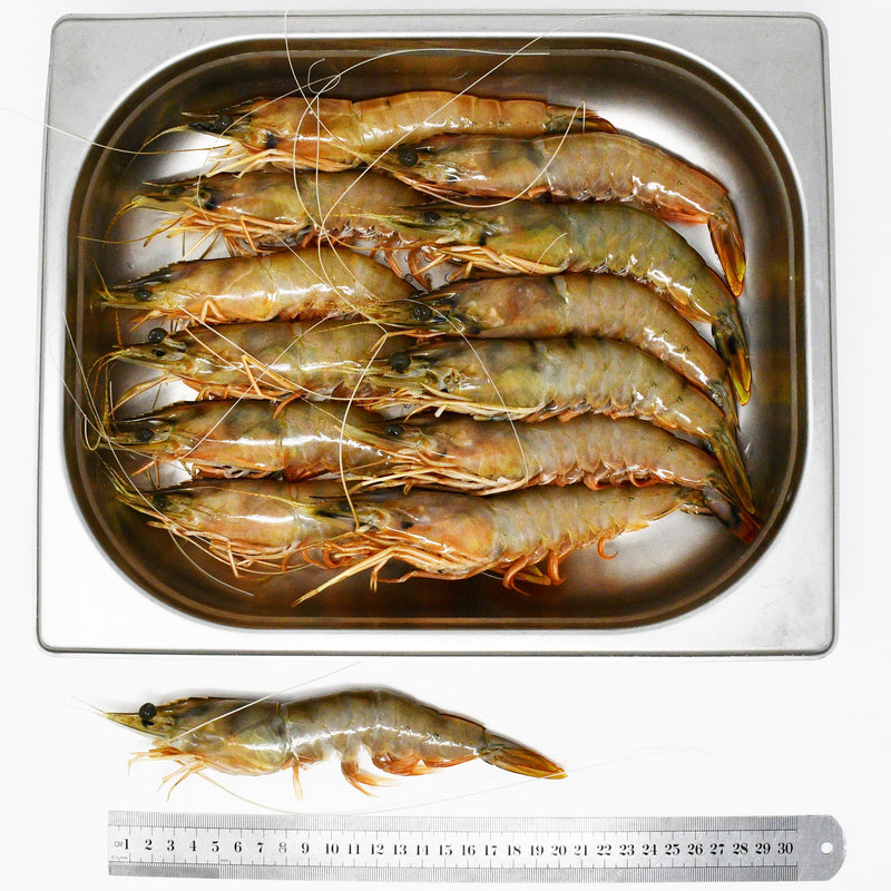 FISH / SEAFOOD - Prime Cuts Butchery, Deli & Bistro