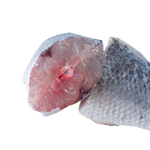 BARRACUDA STEAKS FROZEN (1kg) - Prime Cuts Butchery, Deli & Bistro