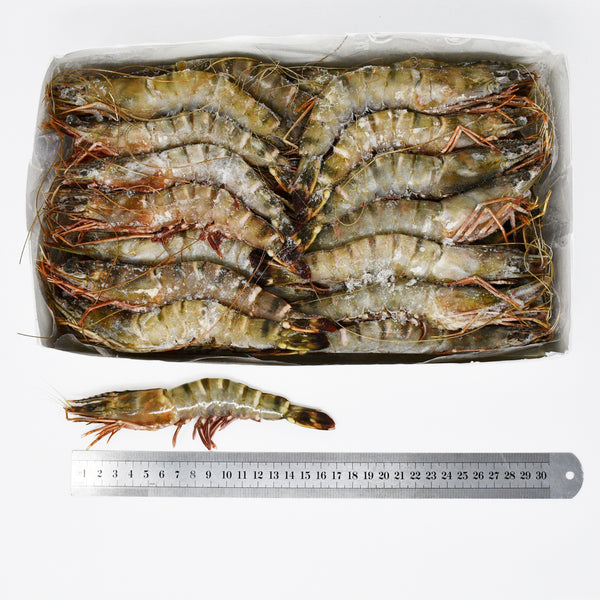 KING TIGER PRAWNS (T2) - 2kg - Prime Cuts Butchery, Deli & Bistro