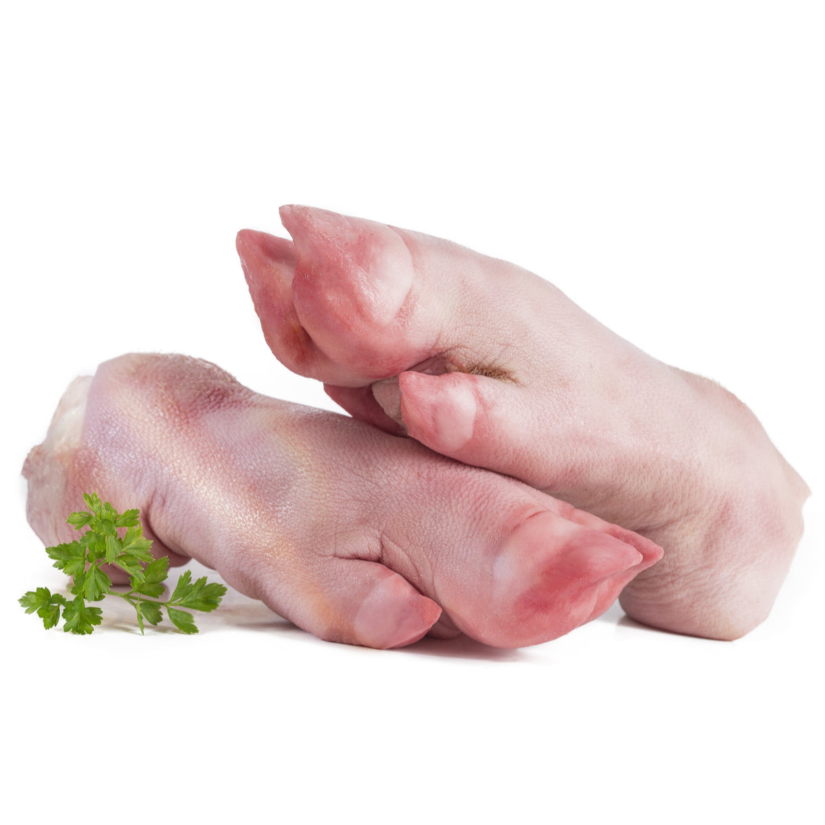 PORK TROTTERS FROZEN (2pcs) - Prime Cuts Butchery, Deli & Bistro